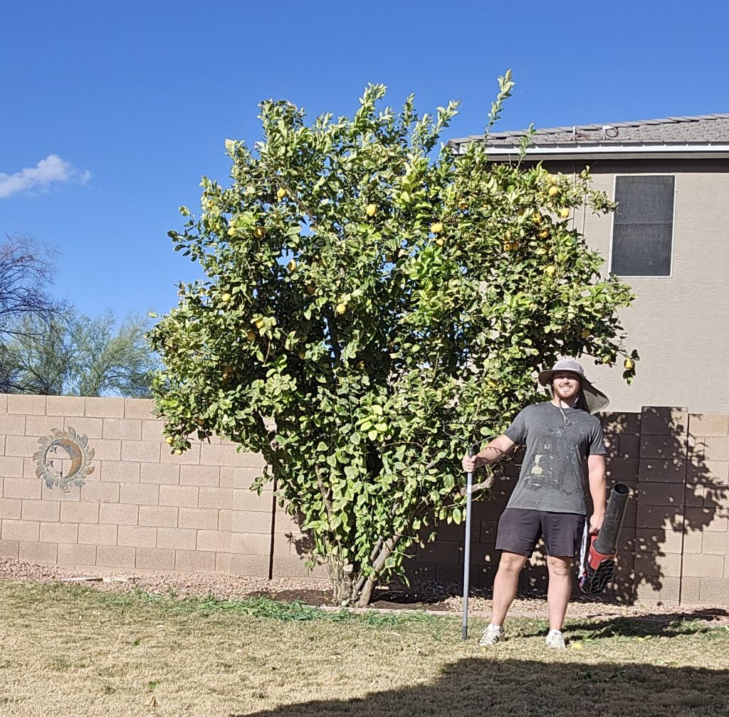 Citrus Trees Don’t Belong in the Sonoran Desert: Confronting the ...